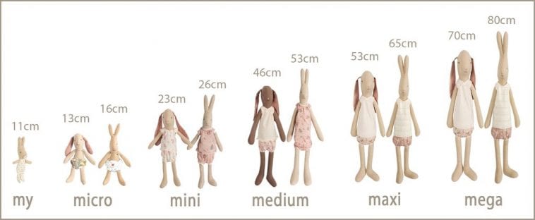 What Are the Different Types of Rabbits? - Here Bunny