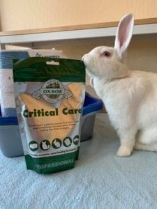 Oxbow Critical Care Nutrition Formula: What Does It Do To Your Rabbit ...