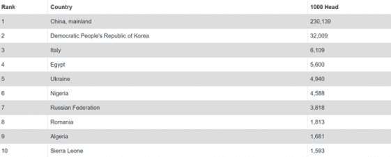 A Report on Bunny Pet Ownership in the World - Here Bunny