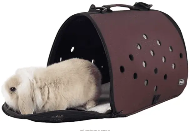 8 Best Rabbit Carriers In The Market - Here Bunny