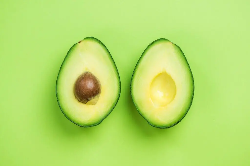 Can Your Rabbit Eat Avocado? (Facts & Food Alternatives) - Here Bunny