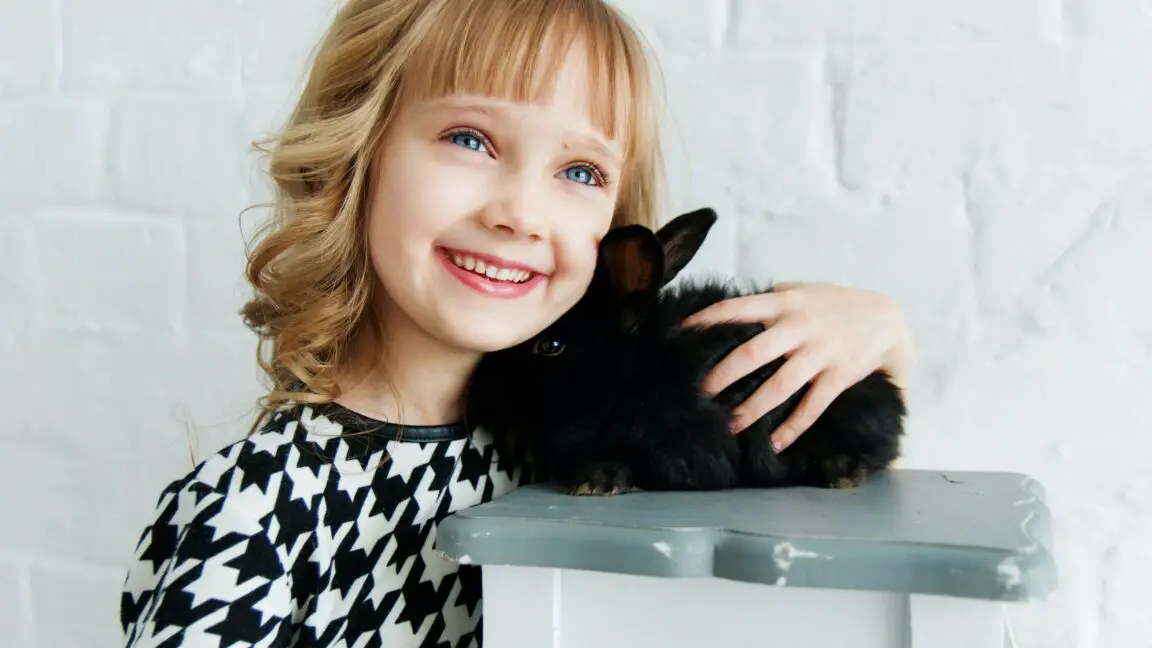 Giant Papillon Rabbit Care Sheet | Here Bunny