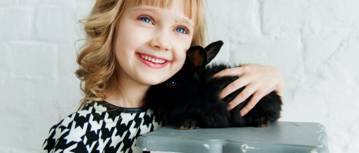 Group of Rabbits: Understanding Hierarchy, Terminologies & Care - Here ...