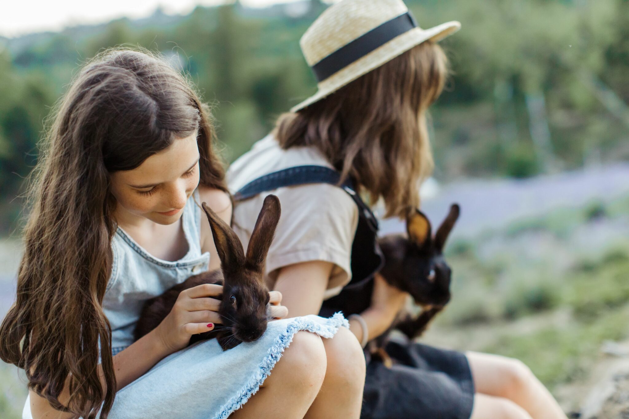 Taking Care of Rabbits While Playing Outside | Here Bunny