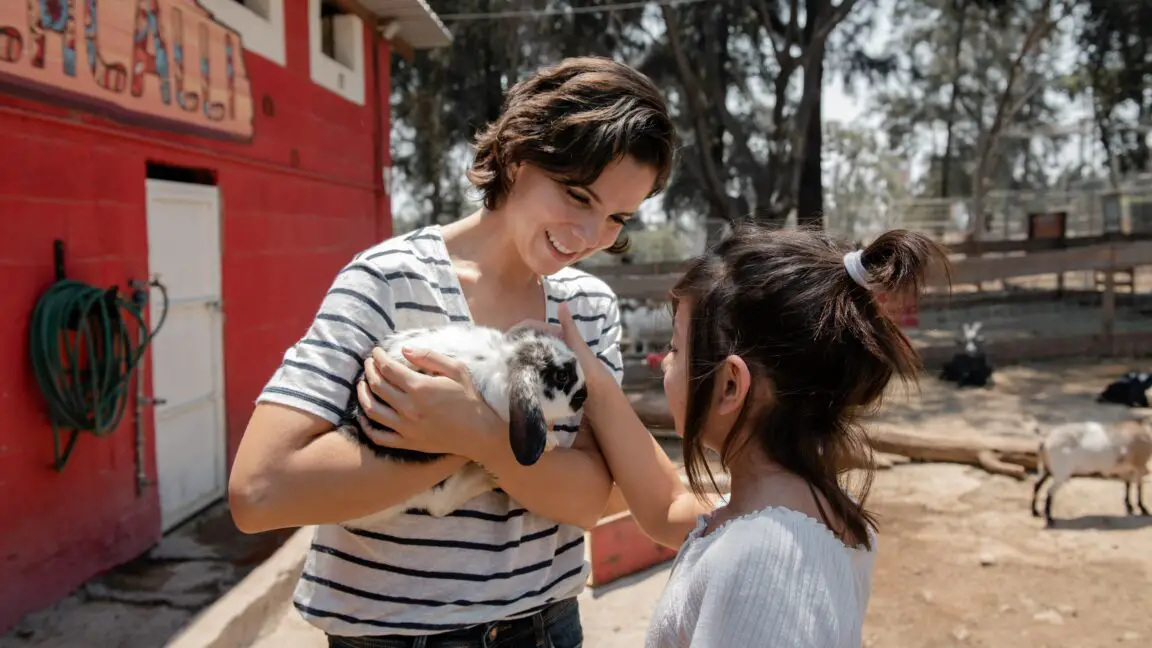Group of Rabbits: Understanding Hierarchy, Terminologies & Care - Here ...